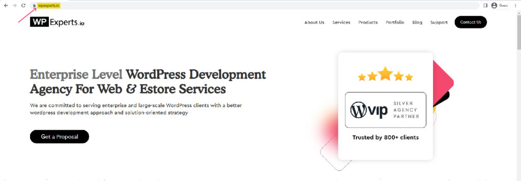 Get the Appropriate Domain Name - WPExperts