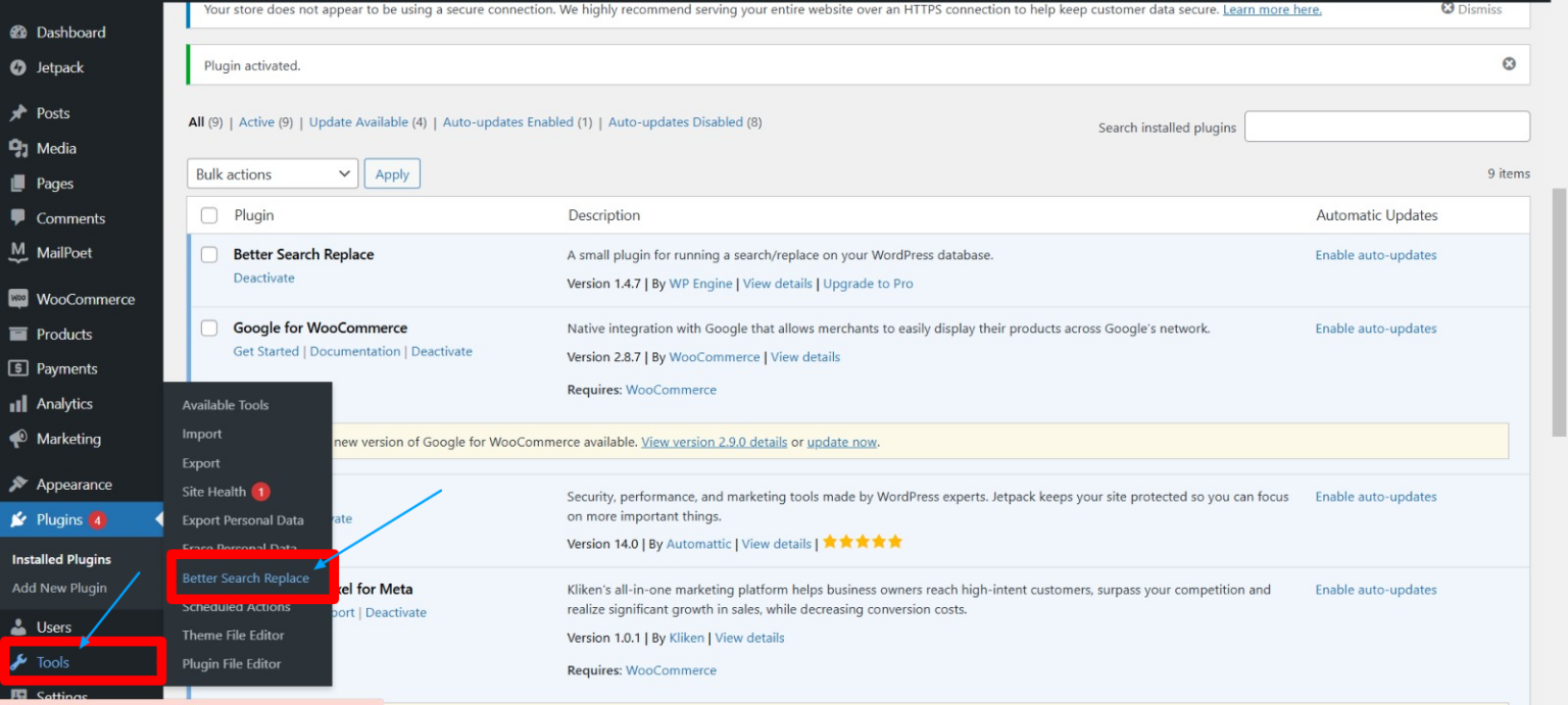 How to Find and Replace Text in WordPress Database